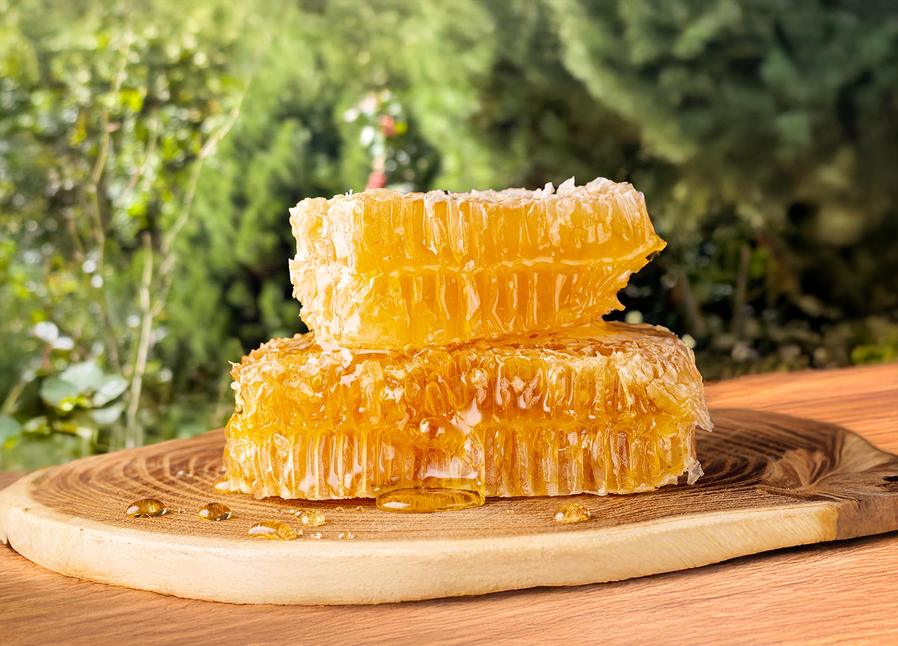 Le Miel en Rayon - Les Miels de Stephanie